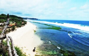 Pantai Sepanjang - Wisata Bagus