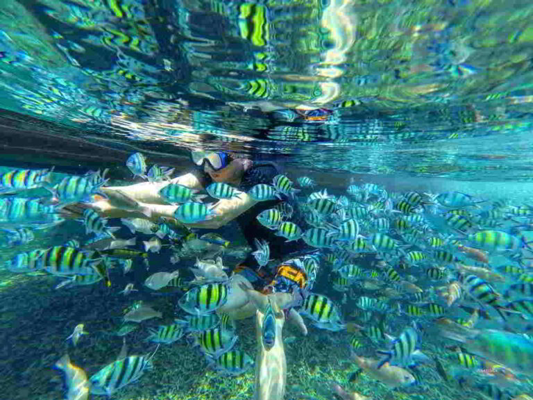 Pulau Pahawang Lampung - Wisata Bagus